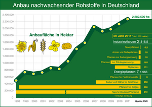 Nachwachsende Rohstoffe | Nachhaltiges Wirtschaften
